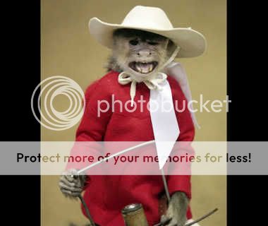 FARK.com: (4177198) Whiplash the Cowboy Monkey slated to be knighted ...